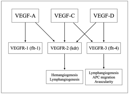 A Systematic Review of Tear Vascular Endothelial Growth Factor and ...