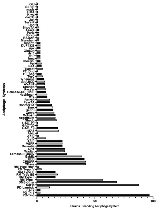 Correlation of Pseudomonas aeruginosa Phage Resistance with the Numbers ...