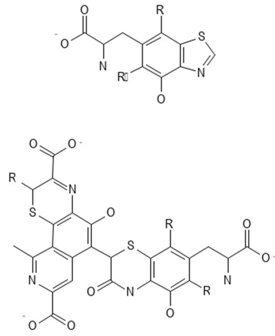Skin Protection by Carotenoid Pigments
