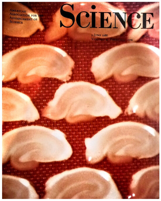 How the ‘Aerobic/Anaerobic Glycolysis’ Meme Formed a ‘Habit of Mind ...