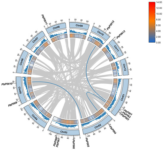 Genome Identification and Expression Profiling of the PIN-Formed Gene ...