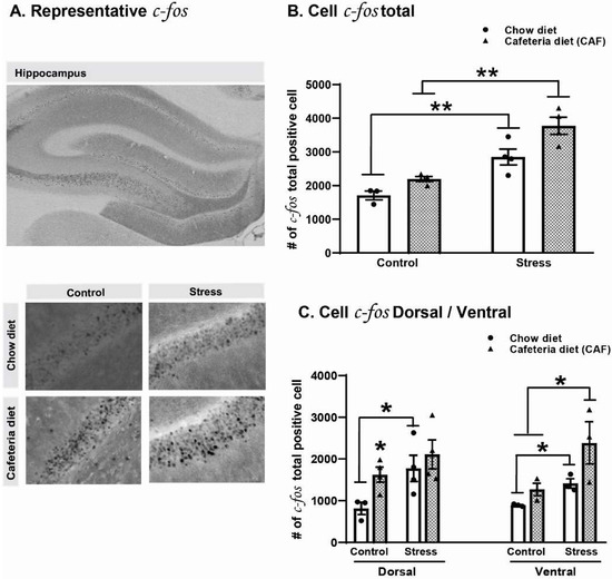 Chronic Variable Stress and Cafeteria Diet Combination Exacerbate ...