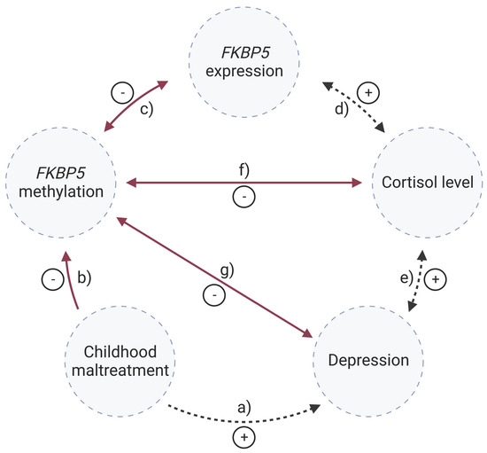 Methylation Patterns of the FKBP5 Gene in Association with Childhood ...