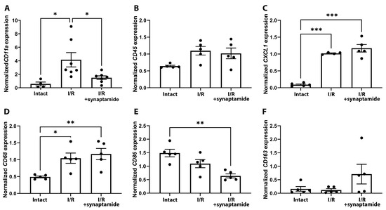 Anti-Inflammatory Effect of Synaptamide in Ischemic Acute Kidney Injury ...