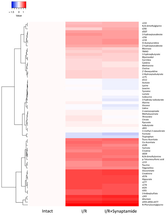 Anti-Inflammatory Effect of Synaptamide in Ischemic Acute Kidney Injury ...