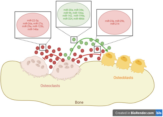 Exosomal Osteoclast-Derived miRNA in Rheumatoid Arthritis: From Their ...
