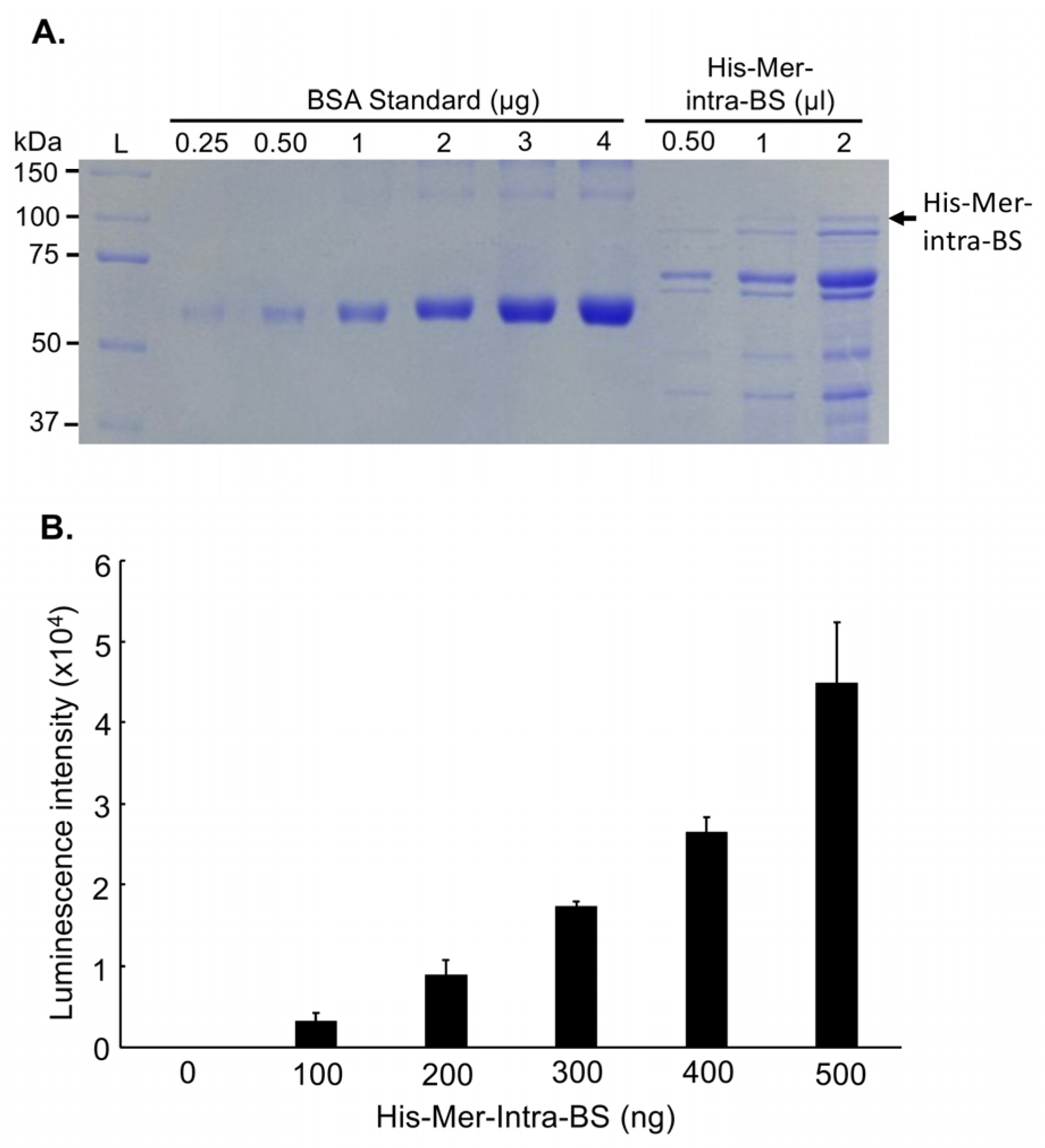 Development of Novel Bioluminescent Biosensors Monitoring the ...