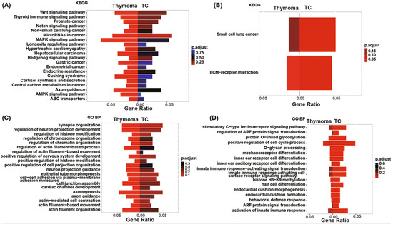 IJMS | Free Full-Text | The Molecular Landscape of Thymic Epithelial Tumors: A Comprehensive Review