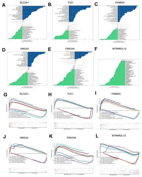 Bioinformatics and Experimental Validation for Identifying Biomarkers ...
