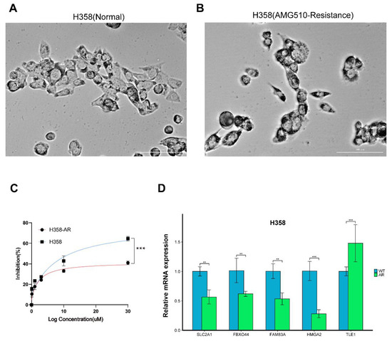 Bioinformatics and Experimental Validation for Identifying Biomarkers ...