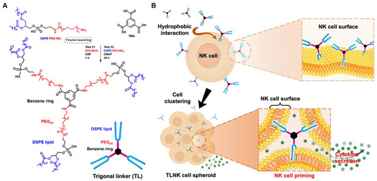 Networked Cluster Formation via Trigonal Lipid Modules for Augmented Ex ...