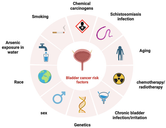 Mini-Review: Current Bladder Cancer Treatment—The Need for Improvement