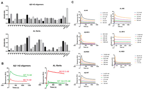 Re-Engineering Therapeutic Anti-Aβ Monoclonal Antibody to Target ...