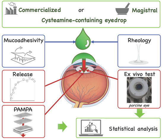 A Comparative Pharmacokinetic Study for Cysteamine-Containing Eye Drops ...