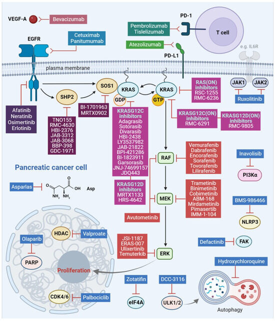 Inhibition of the RAF/MEK/ERK Signaling Cascade in Pancreatic Cancer ...