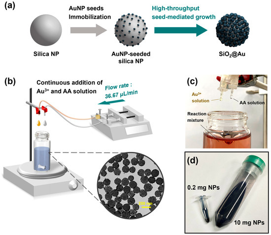 High-Throughput Synthesis of Nanogap-Rich Gold Nanoshells Using Dual ...