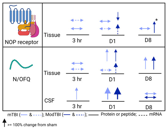 Traumatic Brain Injury Induces Nociceptin/Orphanin FQ and Nociceptin ...