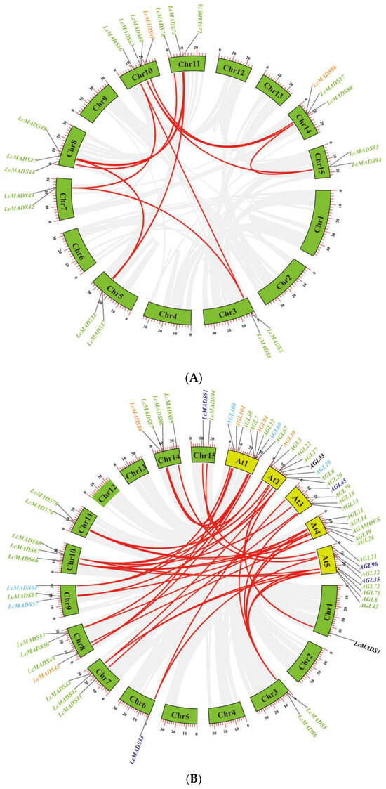 Genome-Wide Characterization and Phylogenetic and Stress Response ...