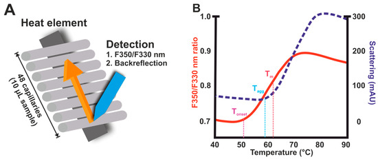 Fluorescence-Based Protein Stability Monitoring—A Review