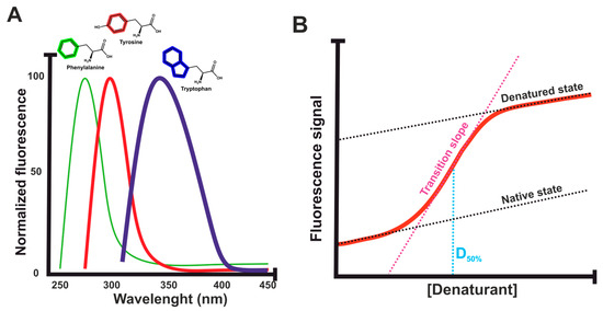 Fluorescence-Based Protein Stability Monitoring—A Review
