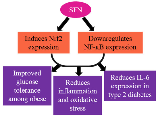 The Immunomodulatory Effects of Sulforaphane in Exercise-Induced ...
