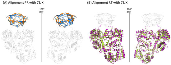 Modeling and Analysis of HIV-1 Pol Polyprotein as a Case Study for ...