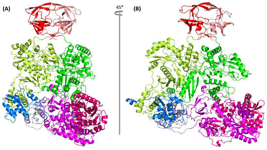 Modeling and Analysis of HIV-1 Pol Polyprotein as a Case Study for ...