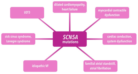 Primary Electrical Heart Disease—Principles of Pathophysiology and Genetics