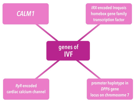 Primary Electrical Heart Disease—Principles of Pathophysiology and Genetics