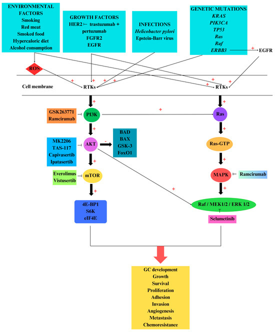 Targeting PI3K/AKT/mTOR and MAPK Signaling Pathways in Gastric Cancer