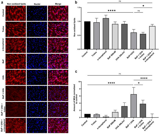 Lipid Peroxidation as the Mechanism Underlying Polycyclic Aromatic ...
