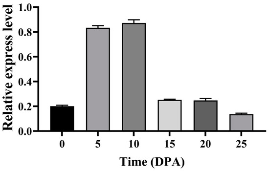 Isolation and Functional Characterization of a Constitutive Promoter in ...