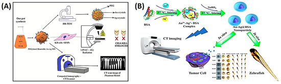 IJMS | Free Full-Text | Zebrafish Insights into Nanomaterial Toxicity ...
