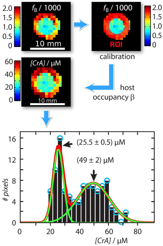 Hyperpolarized Xenon-129 Chemical Exchange Saturation Transfer ...
