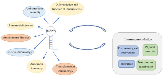 Role of microRNAs in Immune Regulation with Translational and Clinical ...