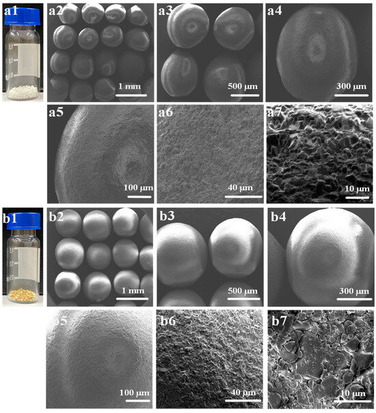 Cyclodextrin Polymer-Loaded Micro-Ceramic Balls for Solid-Phase Extraction of Triazole ...