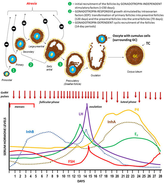 Ijms Free Full Text Current Insights In Prolactin Signaling And
