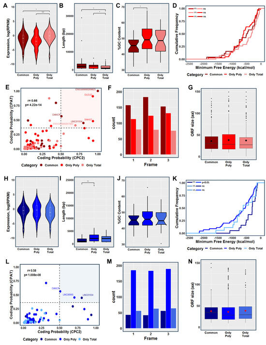 IJMS | Free Full-Text | Unveiling Polysomal Long Non-Coding RNA Expression on the First Day of ...