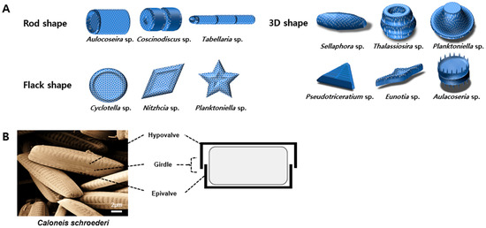 Biomimetic Diatom Biosilica and Its Potential for Biomedical ...