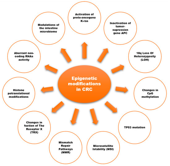 IJMS | Free Full-Text | Managing Colorectal Cancer from Ethology to ...