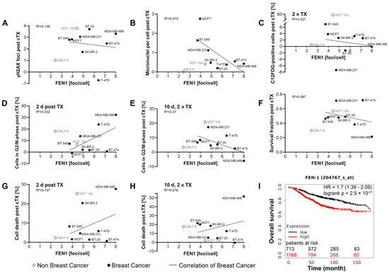 FEN1 Inhibition as a Potential Novel Targeted Therapy against Breast ...