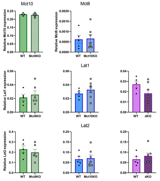 The Differential Effect of a Shortage of Thyroid Hormone Compared with ...