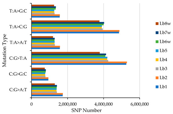 Genomic Analysis of Romanian Lycium Genotypes: Exploring BODYGUARD ...