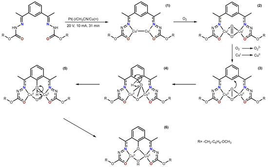A Dinuclear Copper(II) Complex Electrochemically Obtained via the Endogenous Hydroxylation of a ...