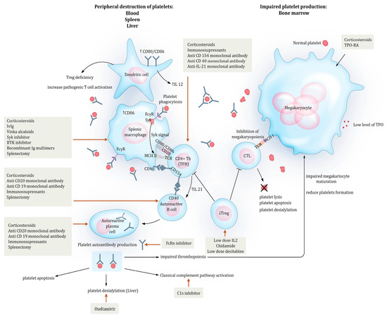 IJMS | Free Full-Text | Current Understanding of Immune ...
