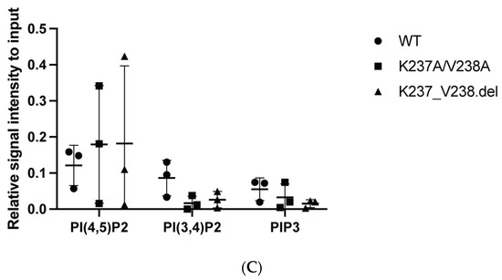 The Human Mutation K237_V238del in a Putative Lipid Binding Motif within the V-ATPase a2 Isoform ...