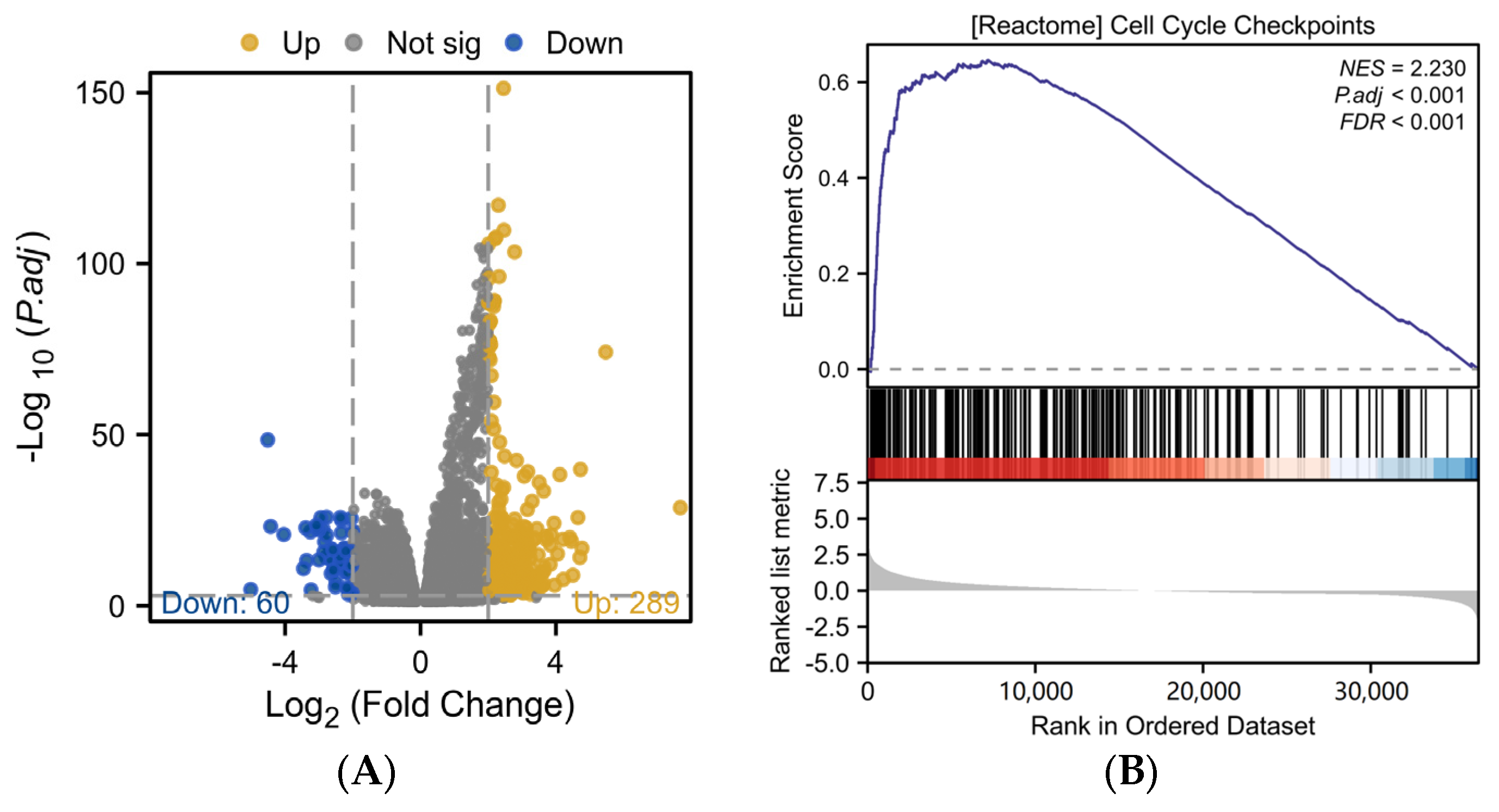 Overexpression of Aurora Kinase B Is Correlated with Diagnosis and Poor ...