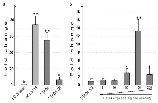 Integrative Epigenetic and Molecular Analysis Reveals a Novel Promoter ...