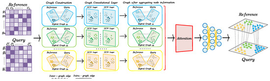 scMGCN: A Multi-View Graph Convolutional Network for Cell Type Identification in scRNA-seq Data