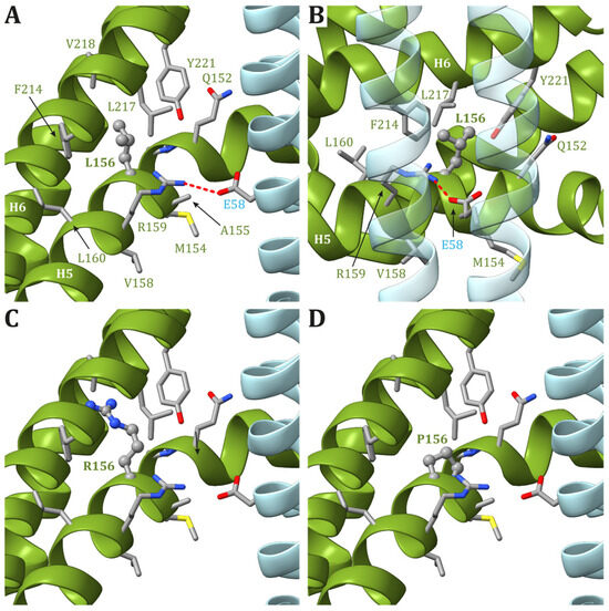 Variants in Human ATP Synthase Mitochondrial Genes: Biochemical ...